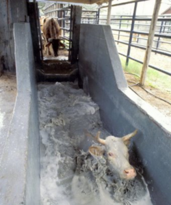 Application Methods for Tick Treatment - TickBoss