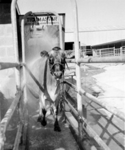 Application Methods for Tick Treatment - TickBoss